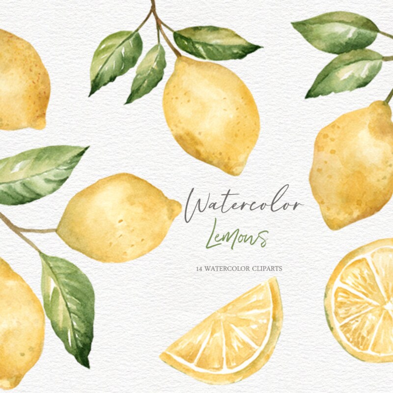 Lemon Watercolor Clipart - Etsy