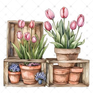 10 Tulips Flowers in Pots Clipart, Spring Flowers Clipart, Gardening ...