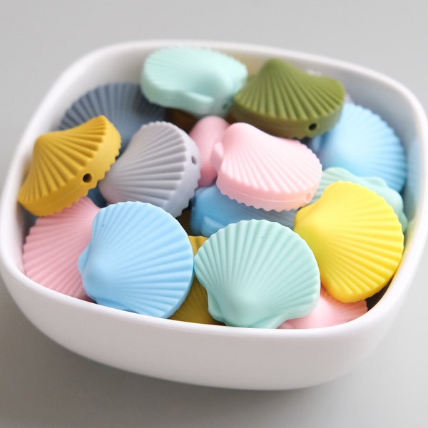 Seashell Bulk - Etsy