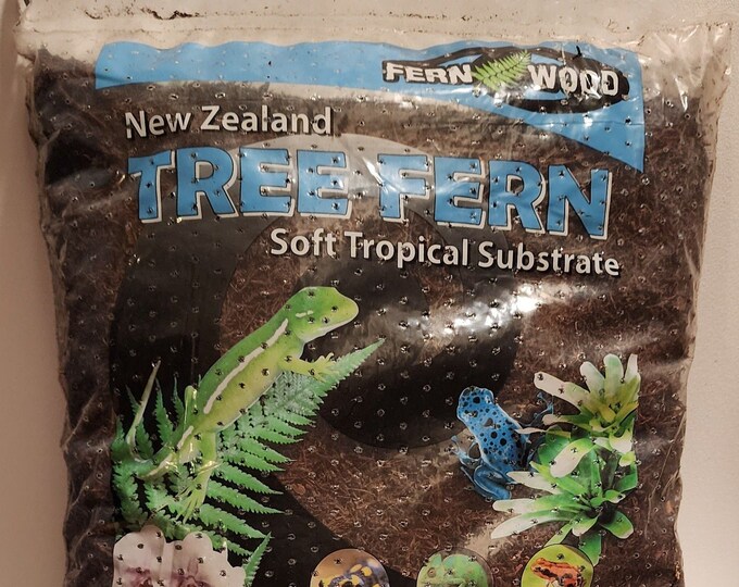 Fernwood Tree Fern Fiber - Etsy