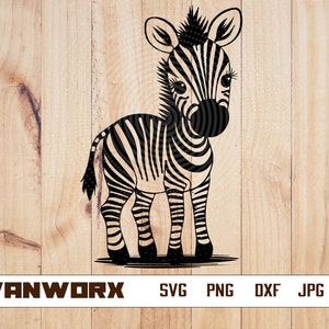 Cute Baby Zebra Svg | Baby Animal Clipart | Jungle Cut File | Zoo ...