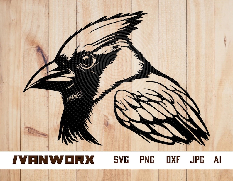 Cardinal Bird Svg Birds Clipart Bird Cut File Flower Bird Nest Stencil ...