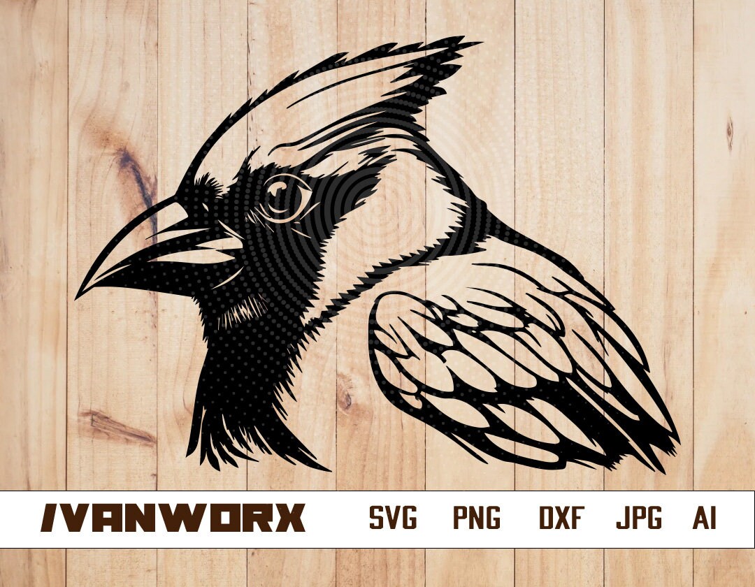 Cardinal Bird Svg Birds Clipart Bird Cut File Flower Bird Nest Stencil ...