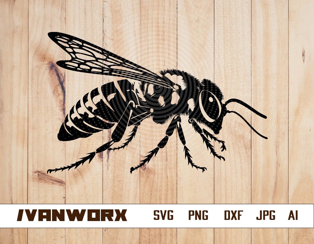Wasp Svg | Wasp Png | Wasp Cut File | Wasp Clipart | Wasp Dxf | Wasp ...