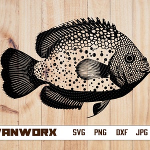 Fisch SVG | Fische Clipart | Fish keeper Cut File | Aquarium Haustier ...