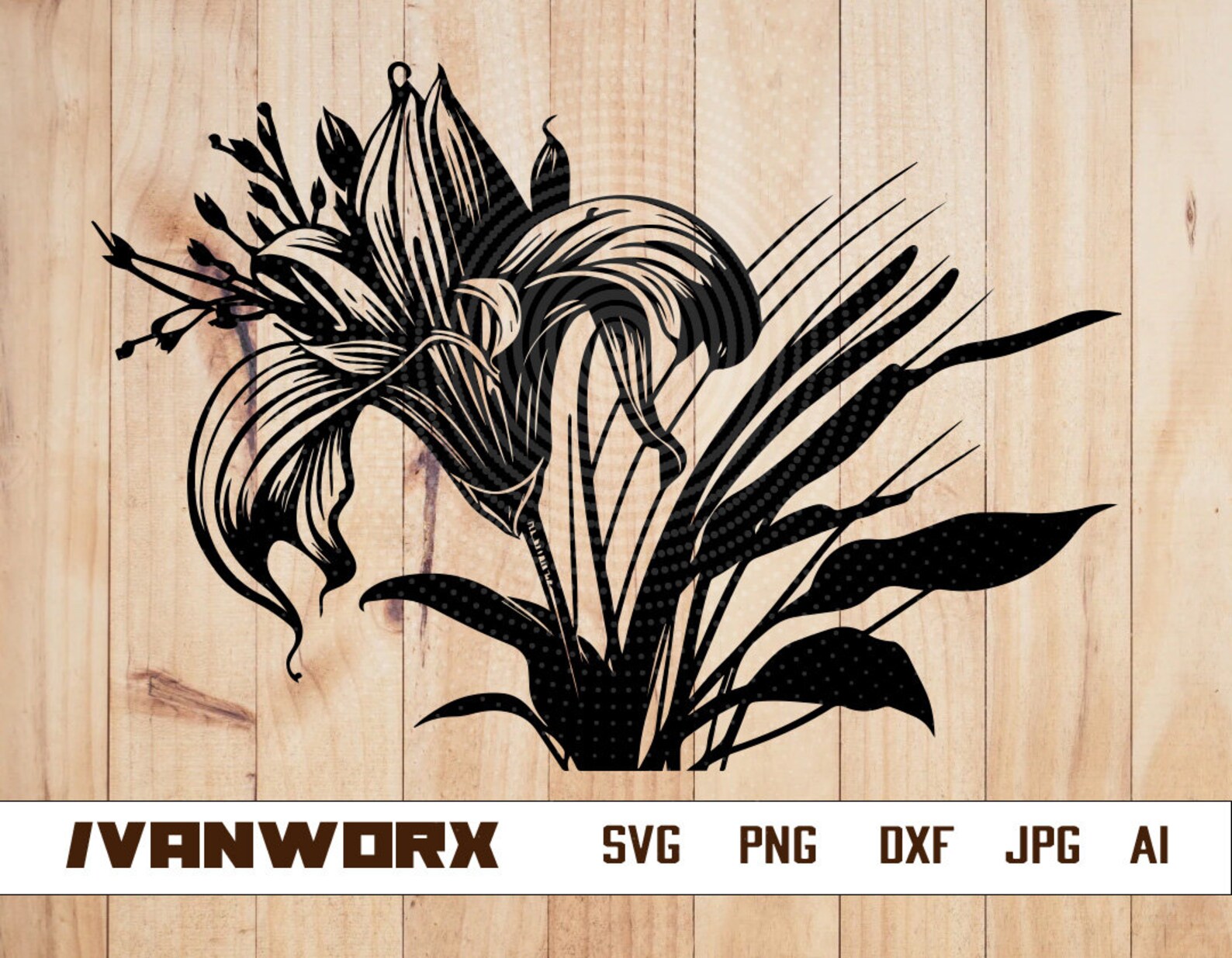 Lily Flower Svg Lily Svg Lily Png Lily Clipart Flower Svg Floral Svg ...
