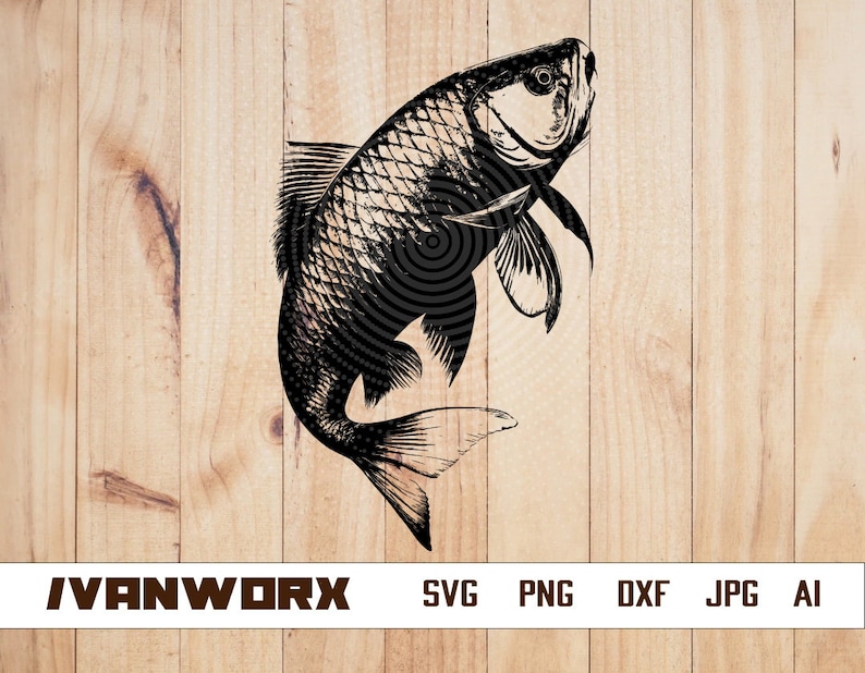 Carp Fish Clipart || Carp Fish Svg || Carp Svg || Carp Fishing Svg ...