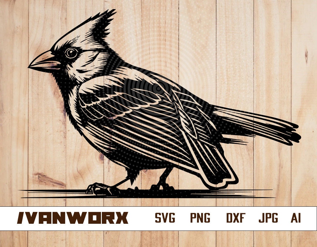 Cardinal Bird Svg | Birds Clipart | Bird Cut File | Flower Bird Nest ...