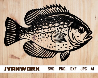 Crappie Fish SVG Panfish Fishing SVG Angling SVG Fish Decals Vinyl ...