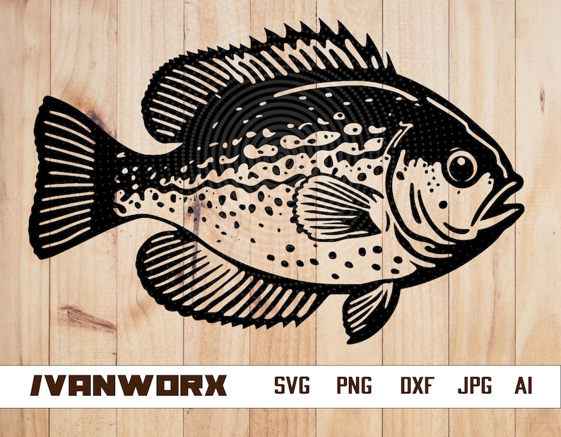 Crappie Fish SVG | Panfish Fishing SVG | Angling SVG | Fish Decals ...