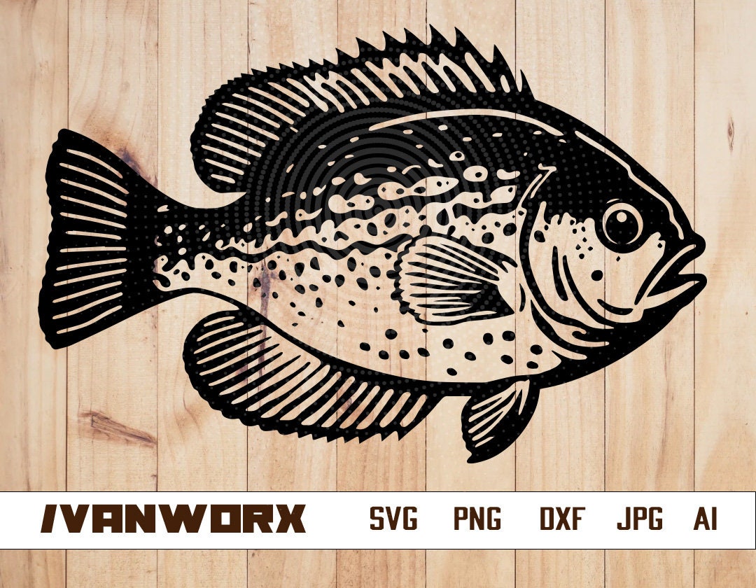 Crappie Fish SVG | Panfish Fishing SVG | Angling SVG | Fish Decals ...