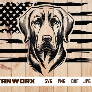 US Labrador Dog Svg | Labrador Clipart | Labrador Cutfile | Labrador ...
