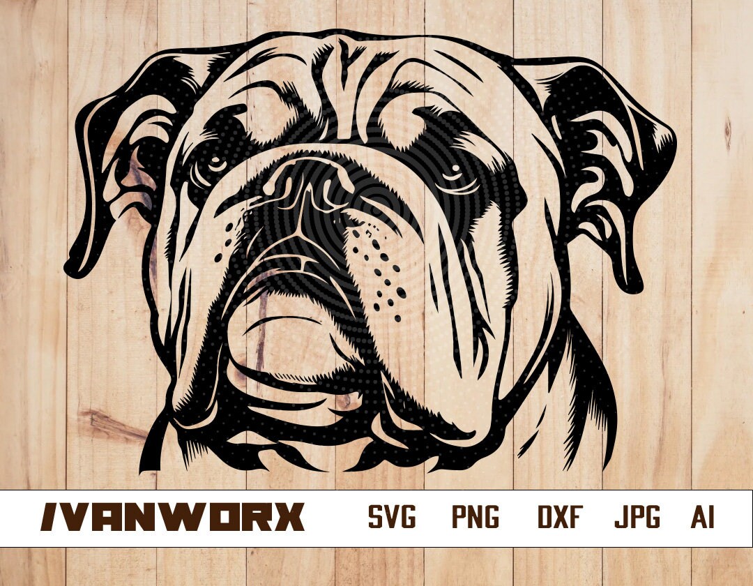 English Bulldog SVG, Cute Baby English Bulldog, Bulldog Svg, Bulldog ...