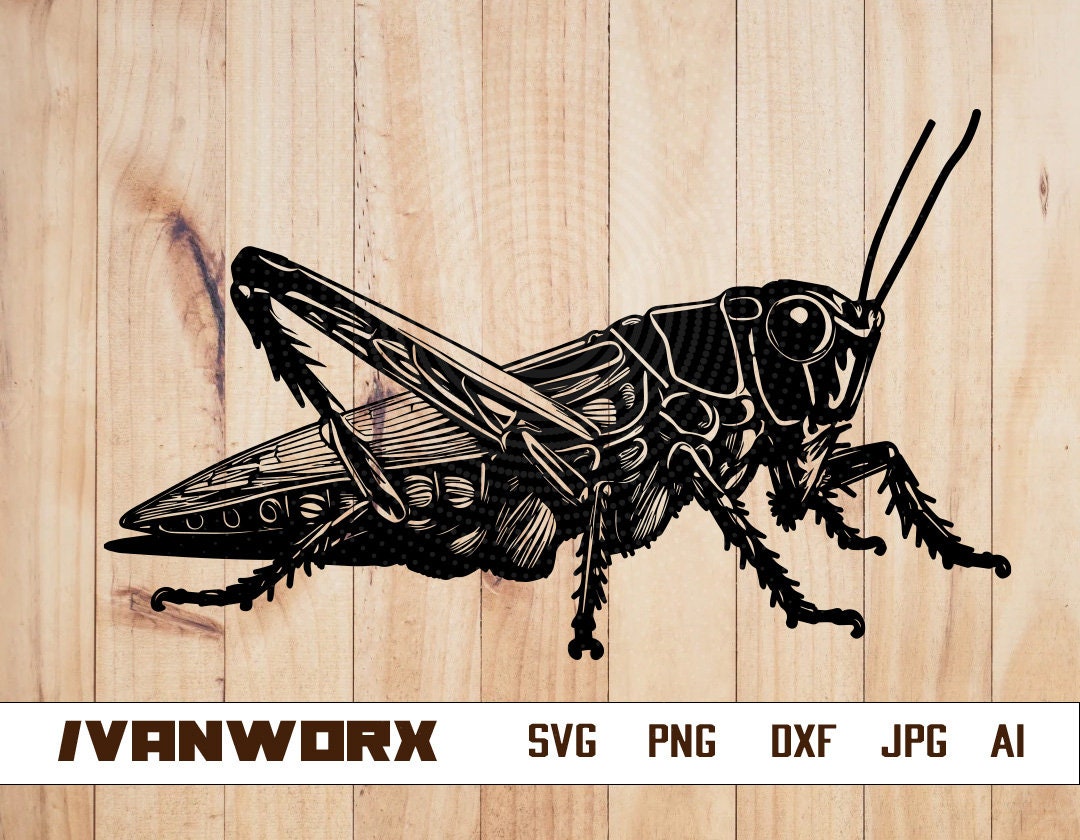 Grasshopper Svg | Bug Png | Insect Dxf | Grasshopper Clipart | Locust ...
