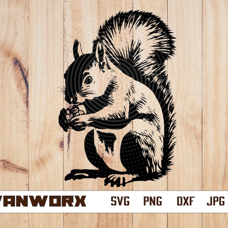 Squirrel Svg - Etsy