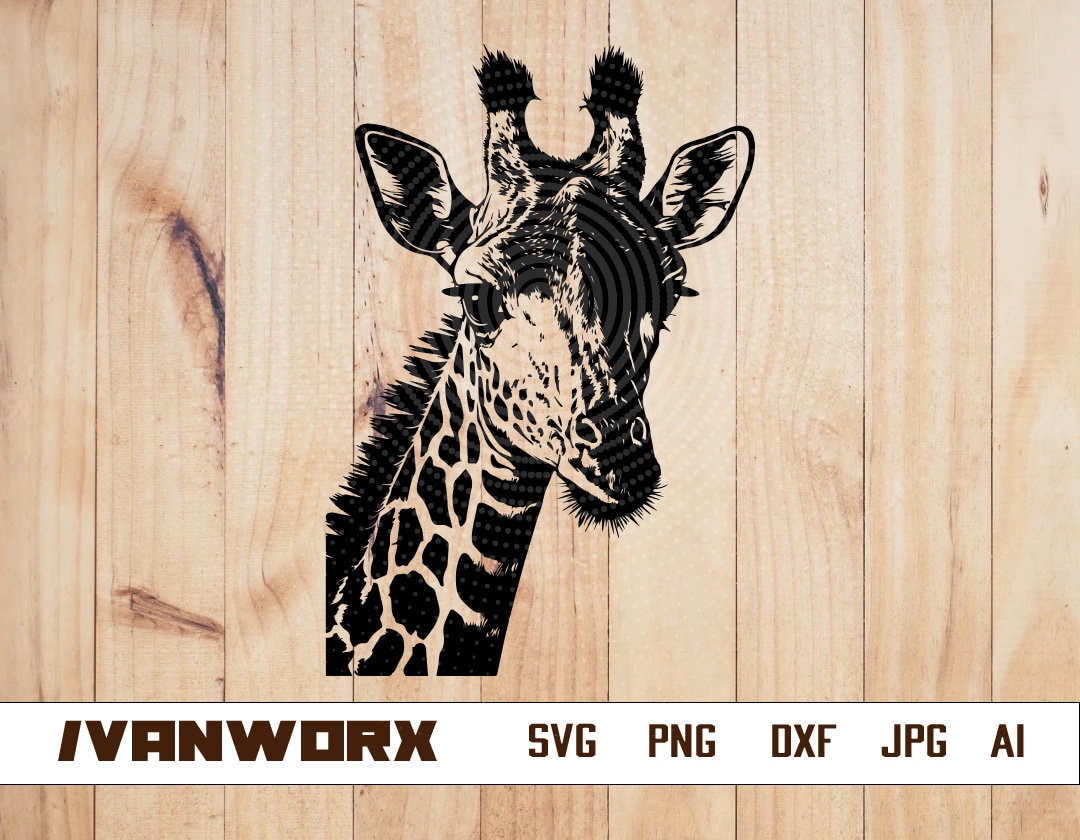 Linda jirafa Svg / Jirafa png / Plantilla de jirafa / Imágenes ...