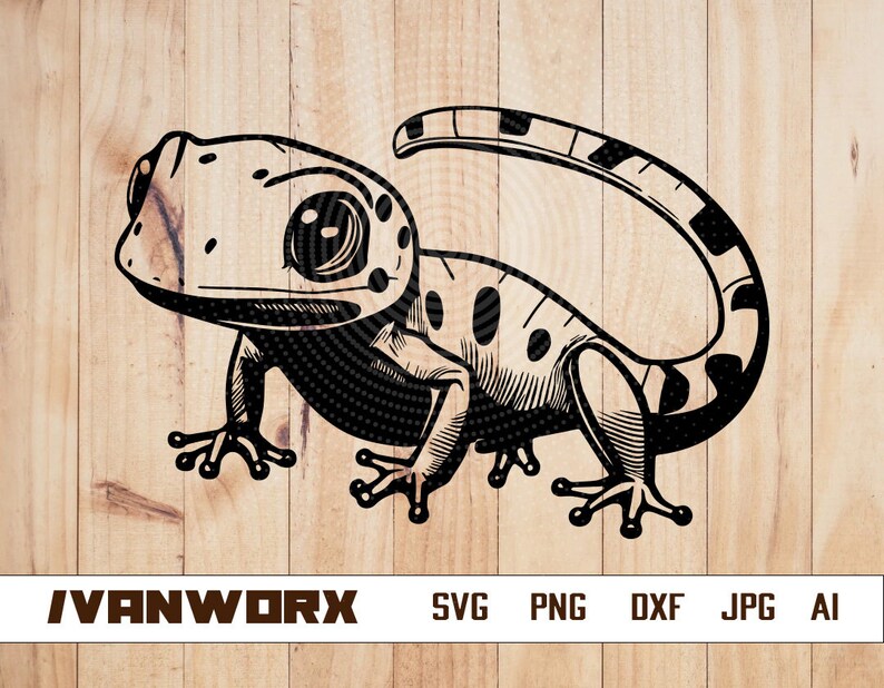 Reptile SVG Gecko SVG Lizard SVG Komodo Lizard Png Gecko Png Cute Gecko ...