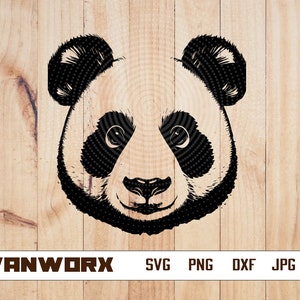 Cute Panda Svg | Cute Baby Panda Svg | Cute Animal Svg | Panda Svg Cut ...