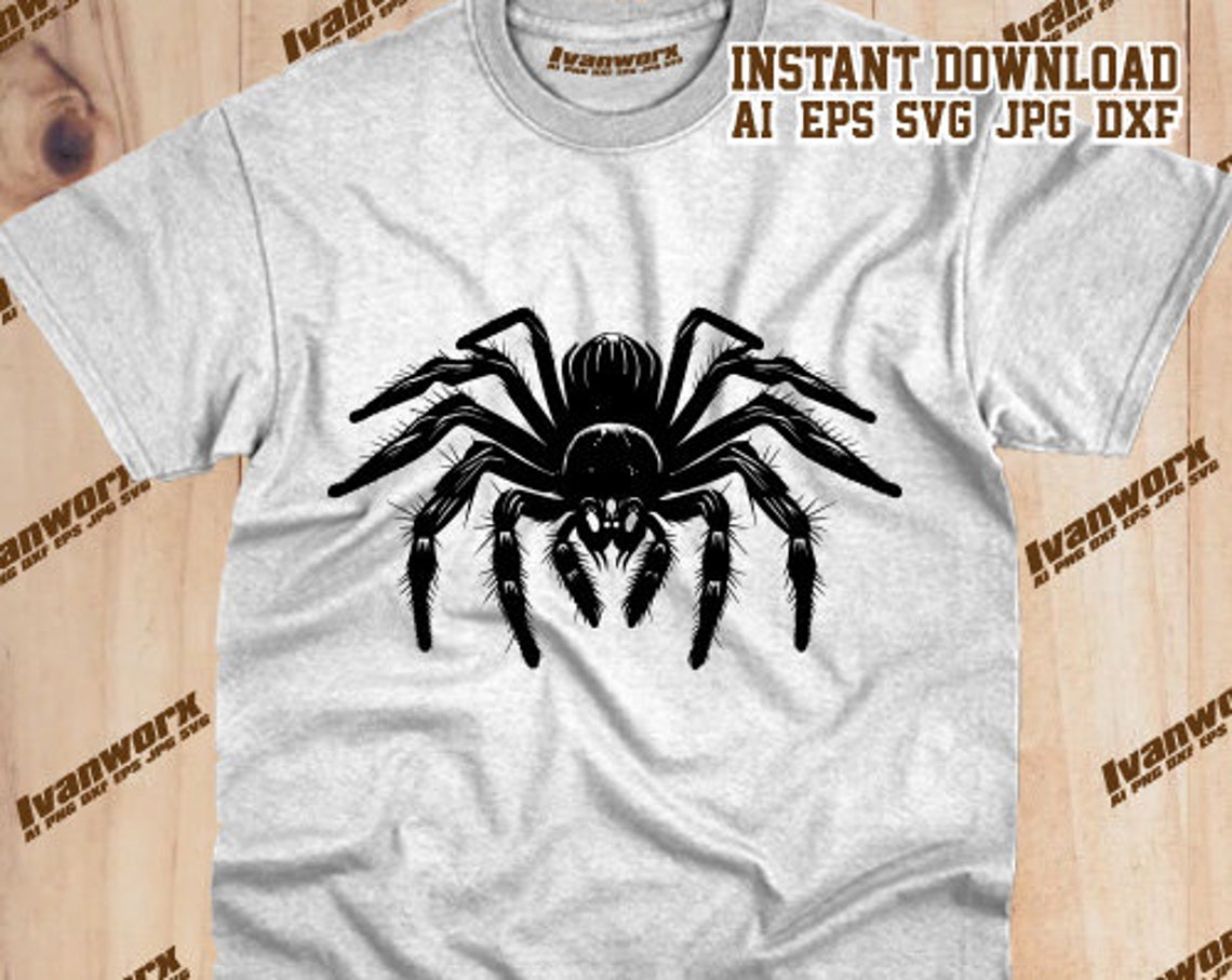 Spider SVG Spider Tarantula SVG Arachnid Svg Tarantula Svg Tarantula T ...