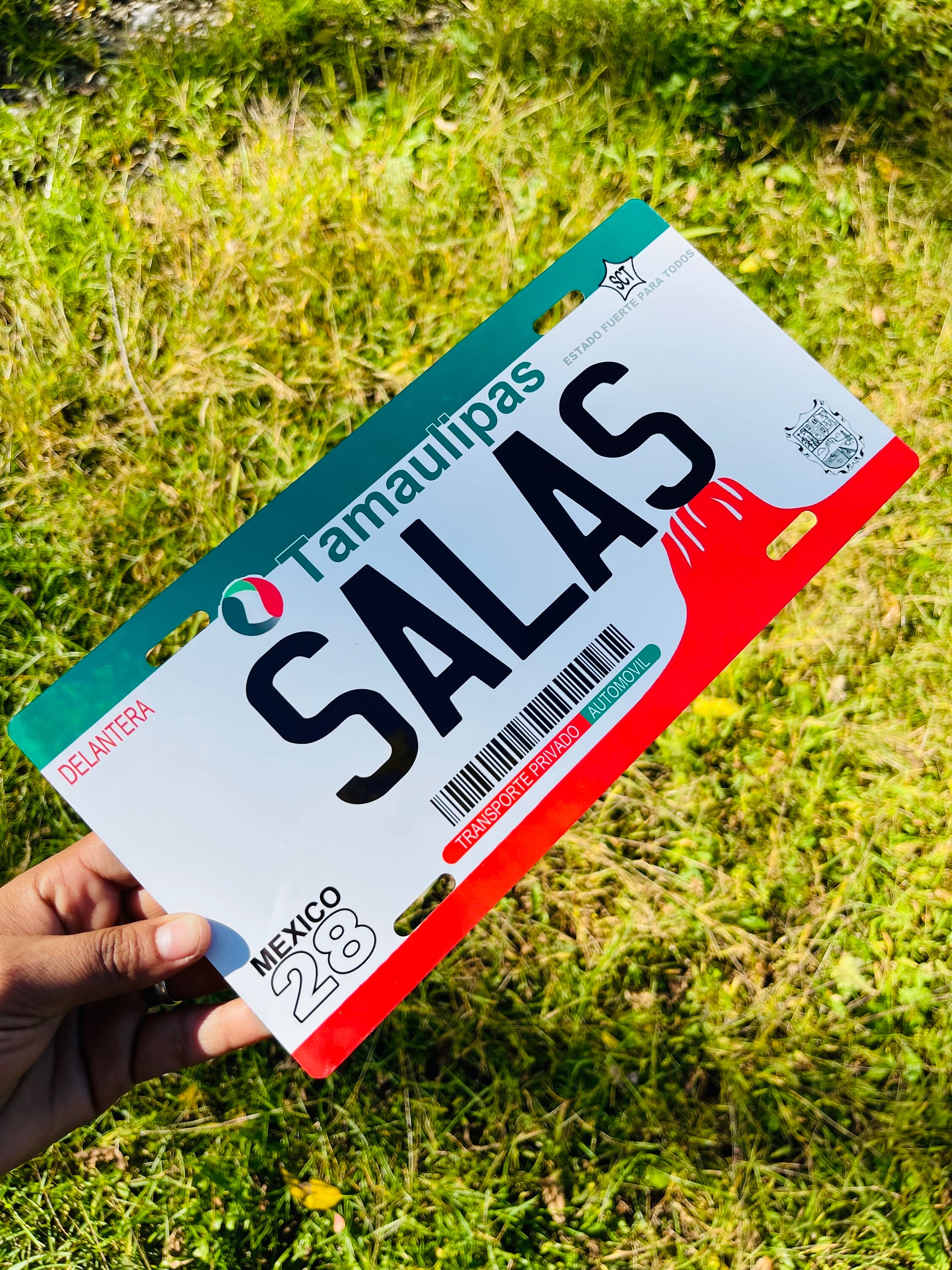 Custom License Plate Mexico USA Any State Tamaulipas - Etsy