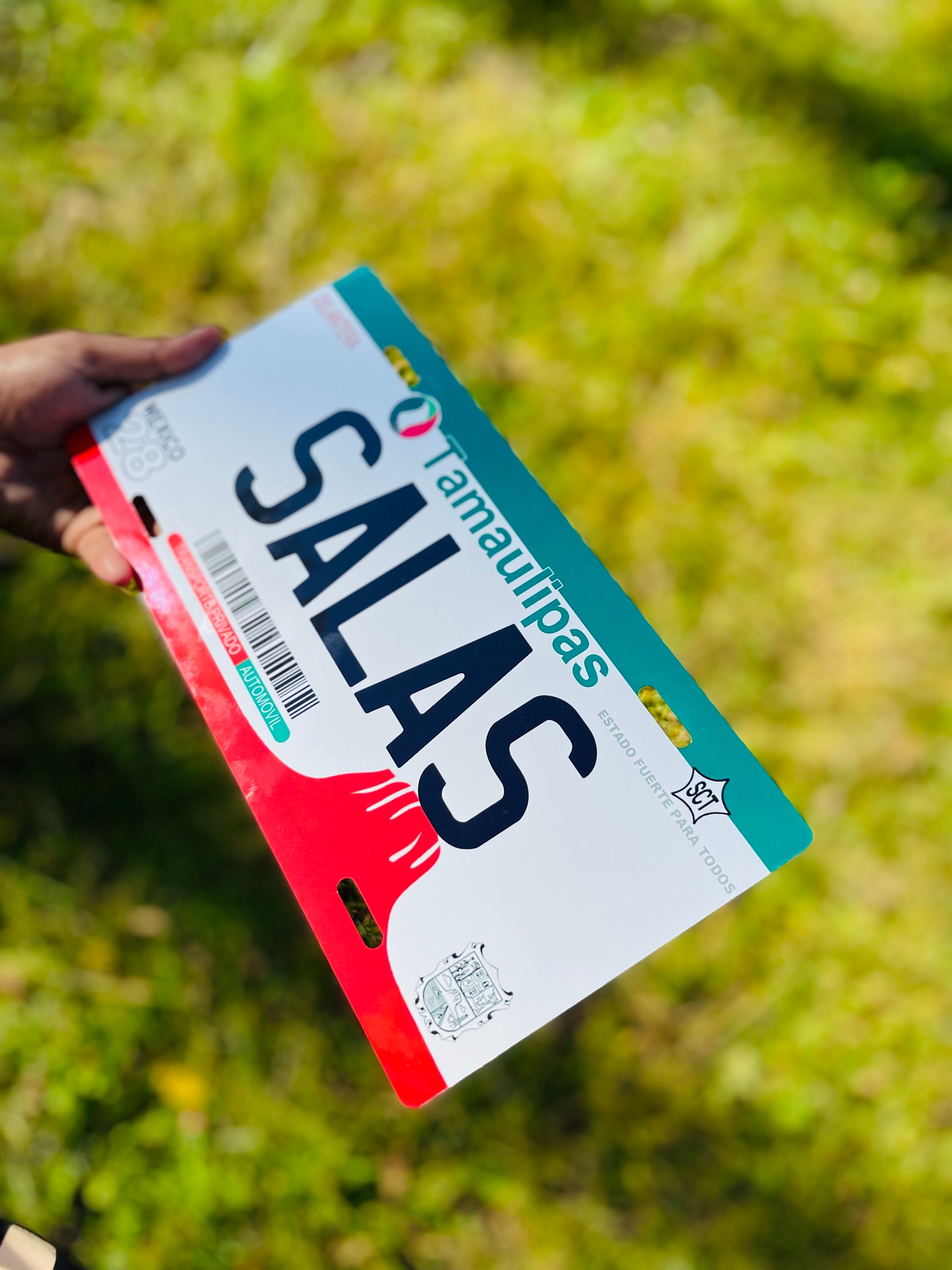 Custom License Plate Mexico USA Any State Tamaulipas - Etsy