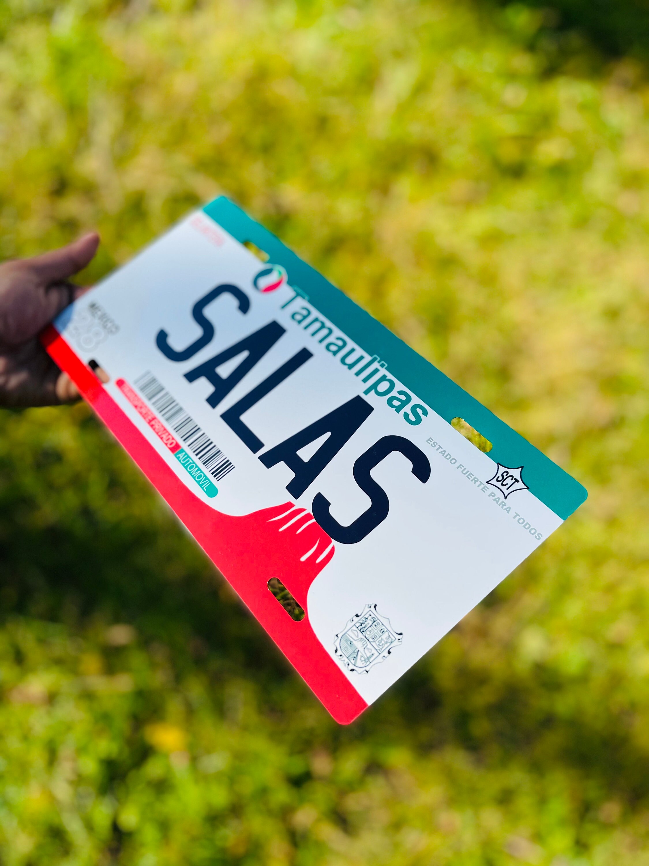 Custom License Plate Mexico USA Any State Tamaulipas - Etsy