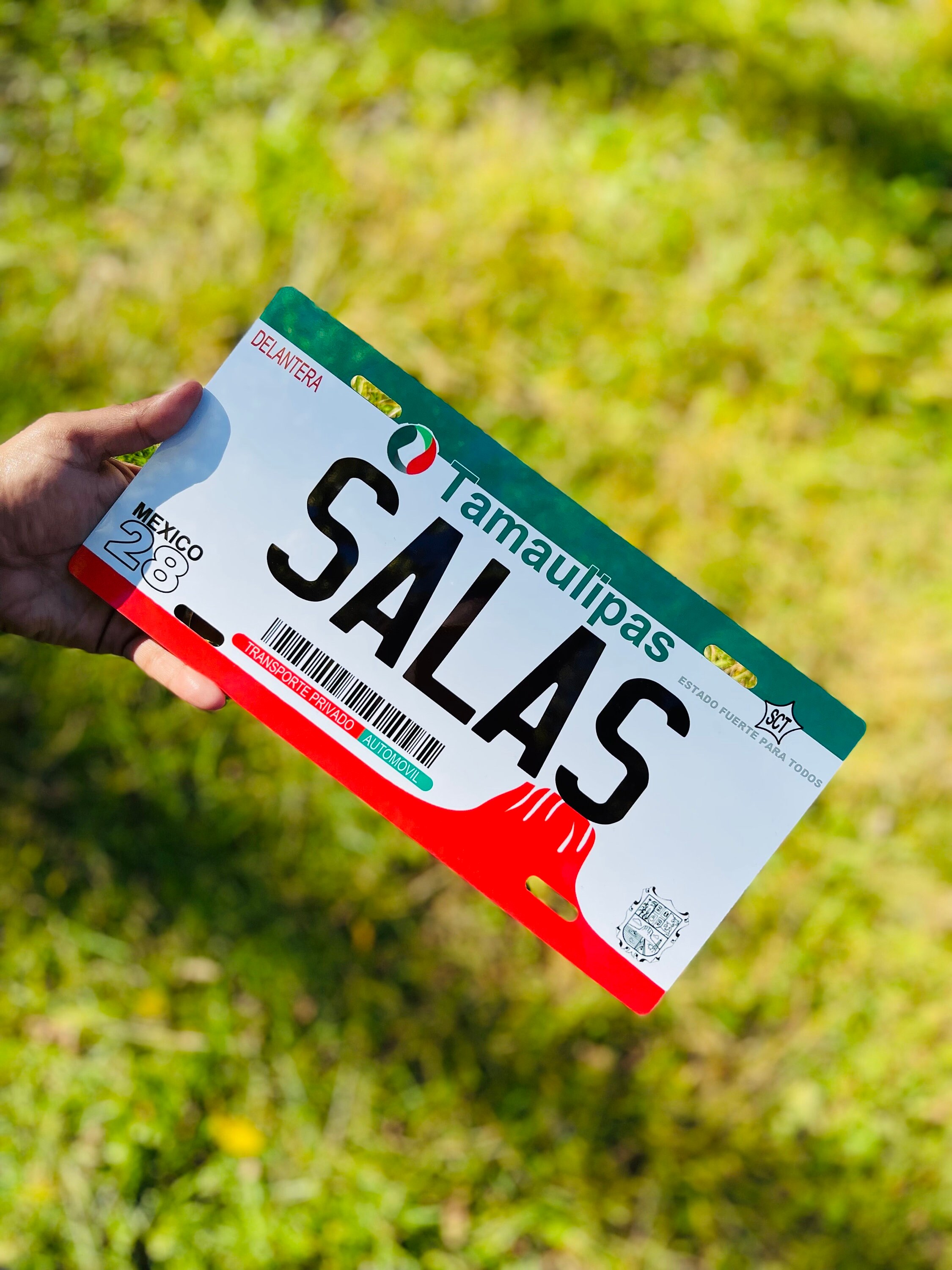 Custom License Plate Mexico USA Any State Tamaulipas - Etsy