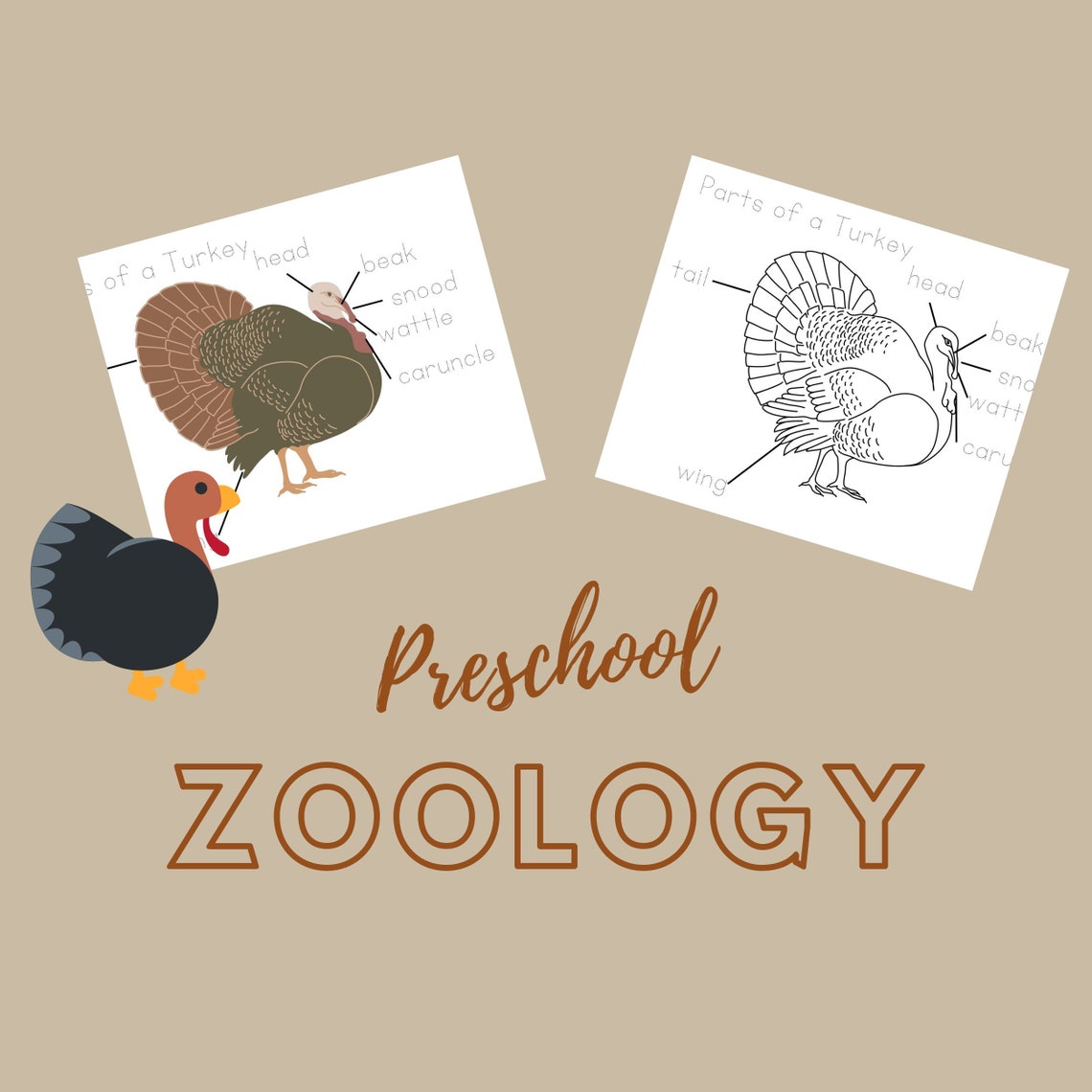 TURKEY THEME - Parts of a Turkey Printing Coloring Printable ...
