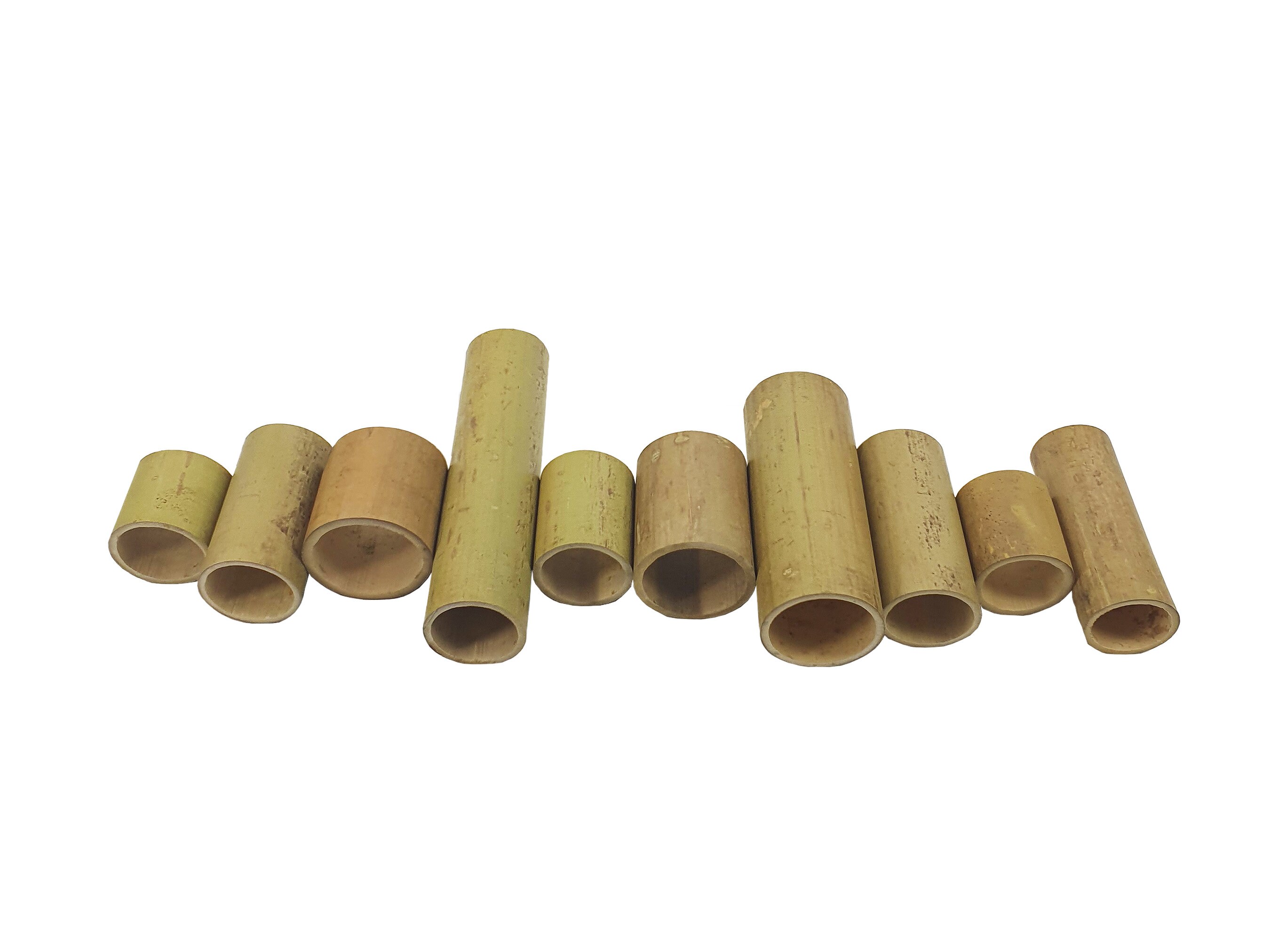Pack of 10 Chunky Bamboo Offcuts. Real Bamboo Pieces Ranging From 4 to ...