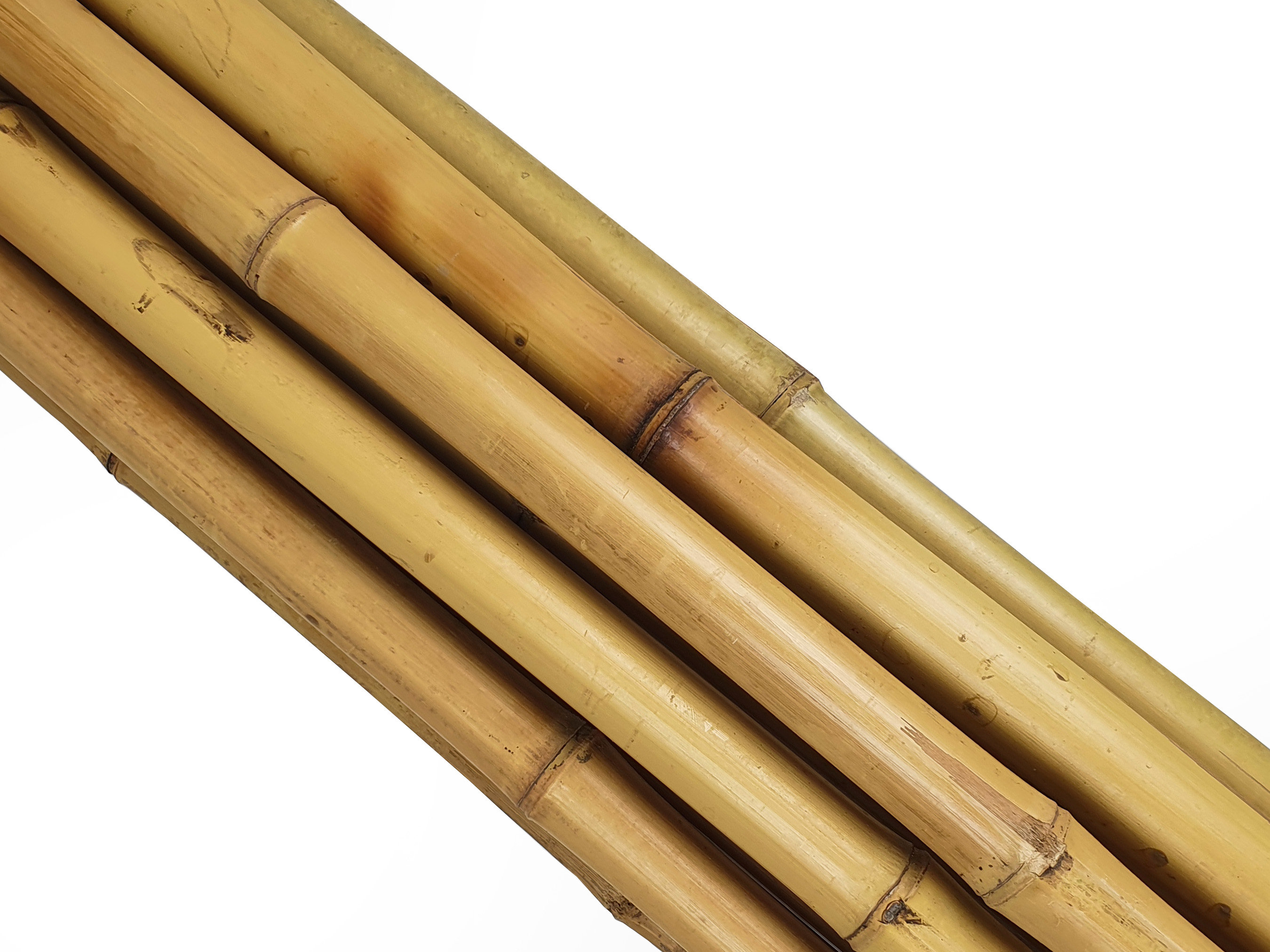 Pack of 10 X 2m Long, Tapered Natural Bamboo Poles, Bamboo, Bamboo ...
