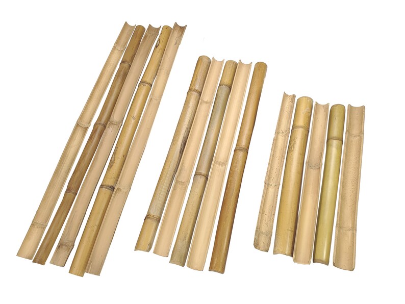 Pack of 15 Bamboo Half Pole, Gutter Shape, Hollow Chutes, Cut From 40 ...