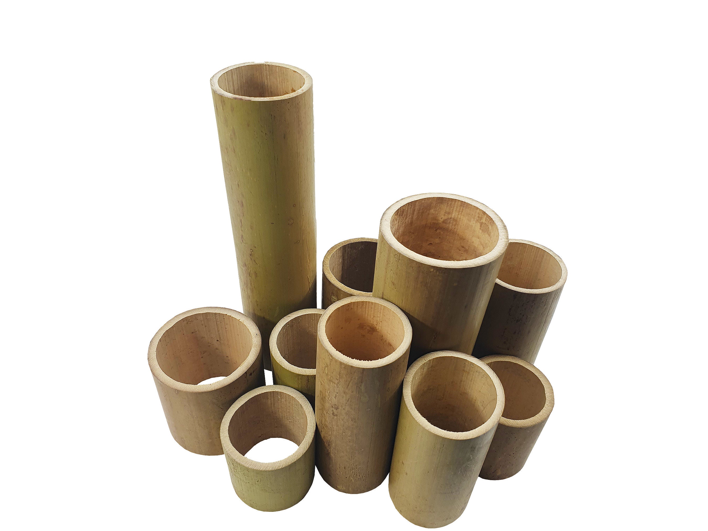 Pack of 10 Chunky Bamboo Offcuts. Real Bamboo Pieces Ranging From 4 to ...