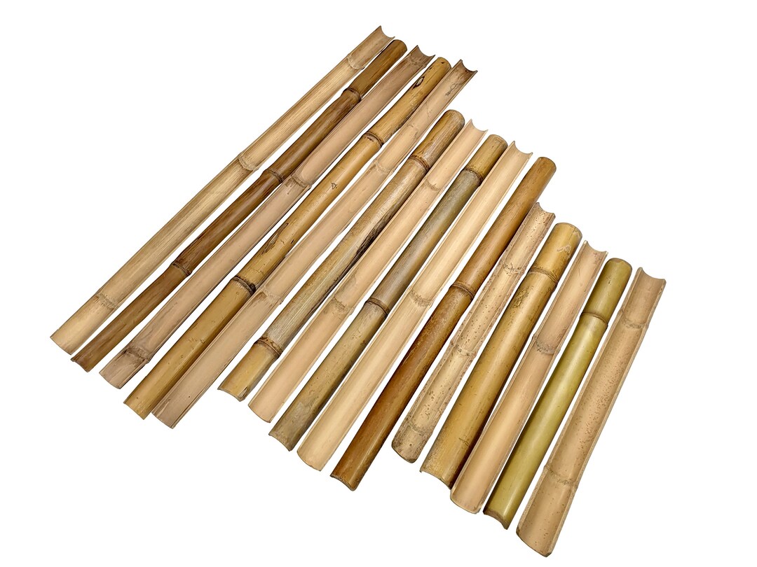 Pack of 15 Bamboo Half Pole, Gutter Shape, Hollow Chutes, Cut From 40 ...