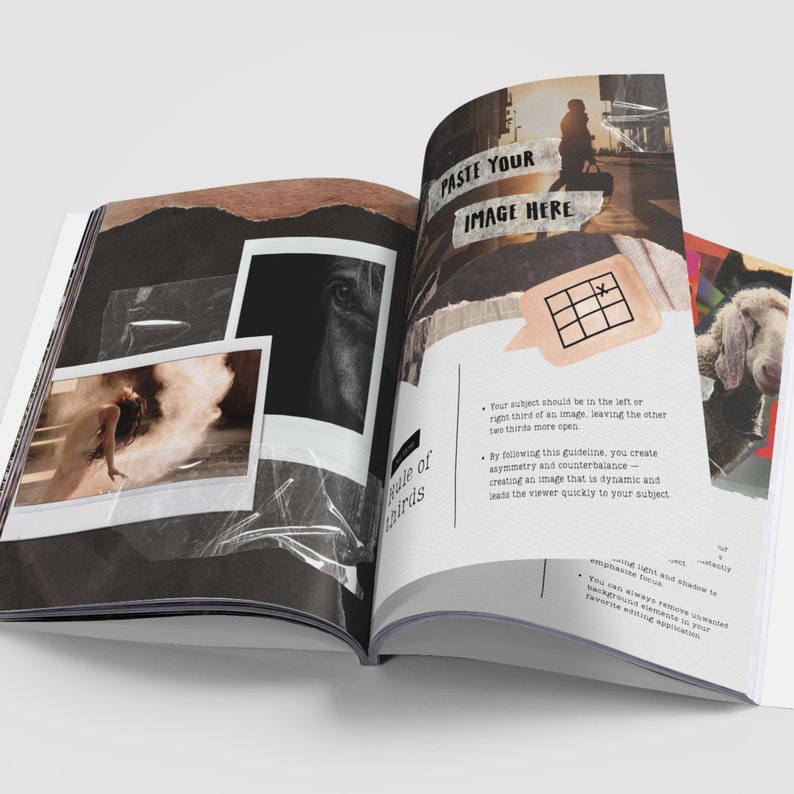 30-day Photography Workbook - Etsy