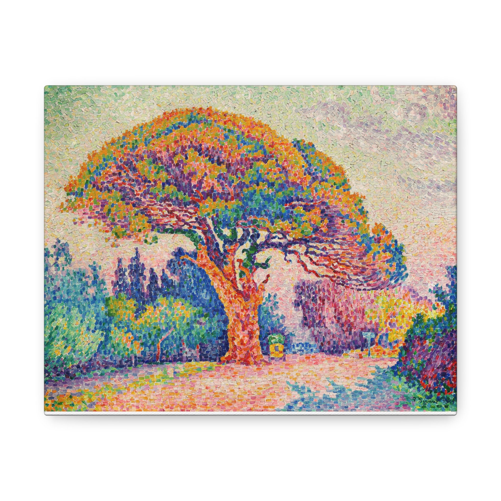 The Pine Tree at Saint Tropez, Paul Signac, 1909 Reproduction, Fine Art ...