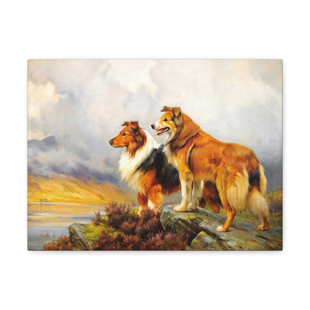 Two Collies Above a Lake, Wright Barker, Reproduction | Gift for Him ...