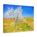 Almond Trees in Bloom, Achille Lauge, 1934 Reproduction Famous Artist Fine Art Office Wall Art ...