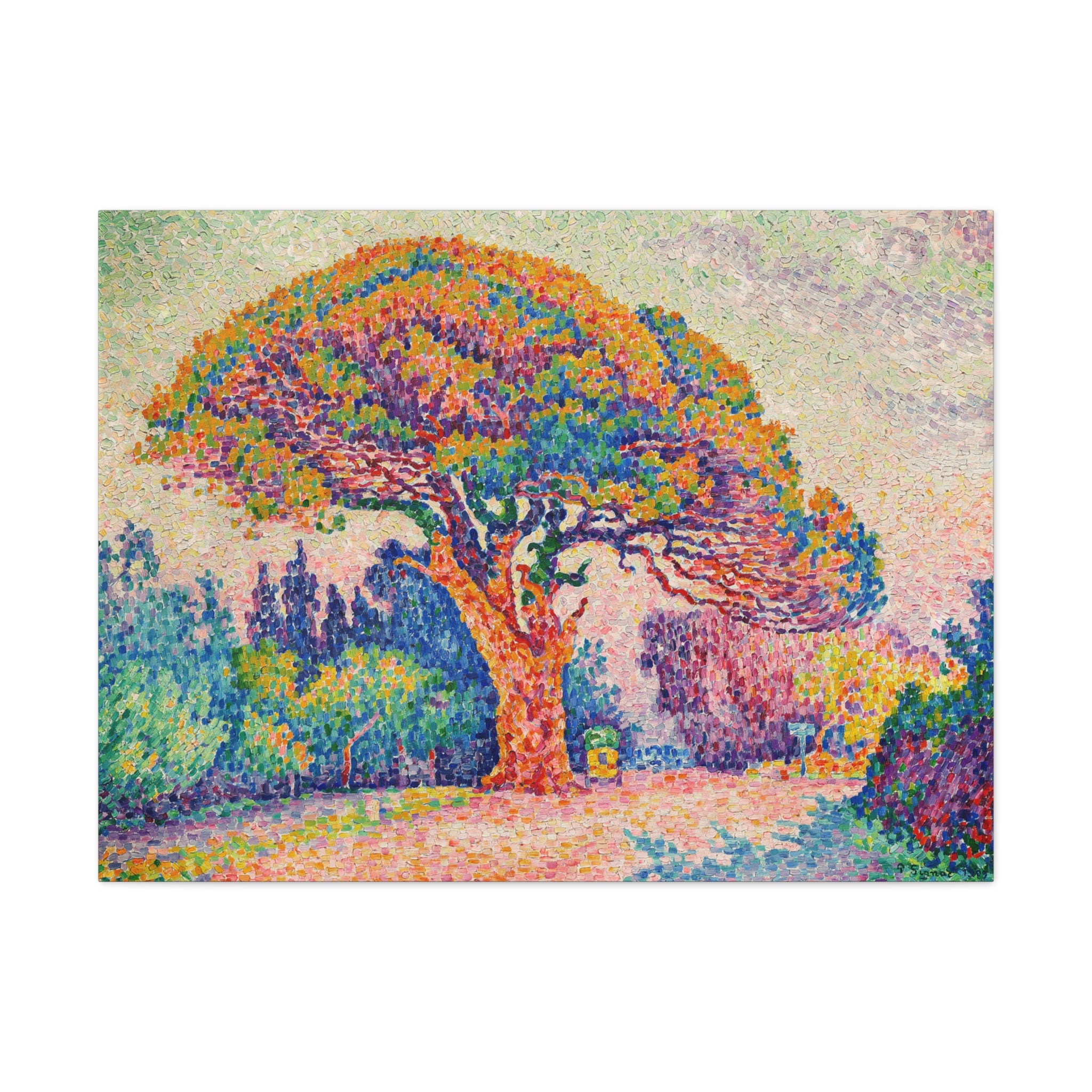 The Pine Tree at Saint Tropez, Paul Signac, 1909 Reproduction, Fine Art ...