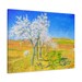 Almond Trees in Bloom, Achille Lauge, 1934 Reproduction Famous Artist Gift for Mom Office Wall ...