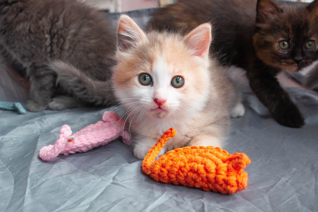 Handmade Cat Toy Mice With Catnip Pack of Three - Etsy