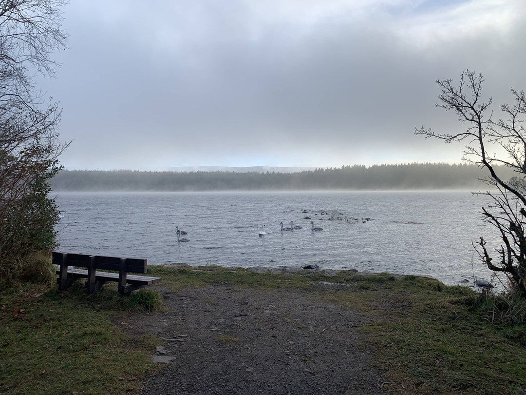 Soul Realignment, Reading of Akashic Records for Your Souls Gifts ...