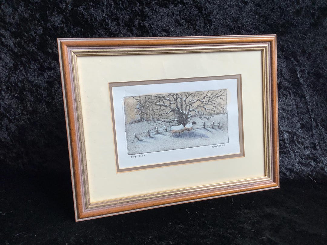 Devon Sheep Original Watercolour Artist Proof Print Art Painting Framed ...