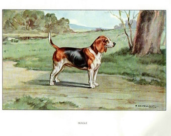 Antique Beagle Print - Etsy