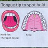 IPA Palatogram (1 Page) of Tongue-palatal Consonants CHART (PDF ...