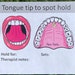 IPA Palatogram (1 Page) of Tongue-palatal Consonants CHART (PDF ...