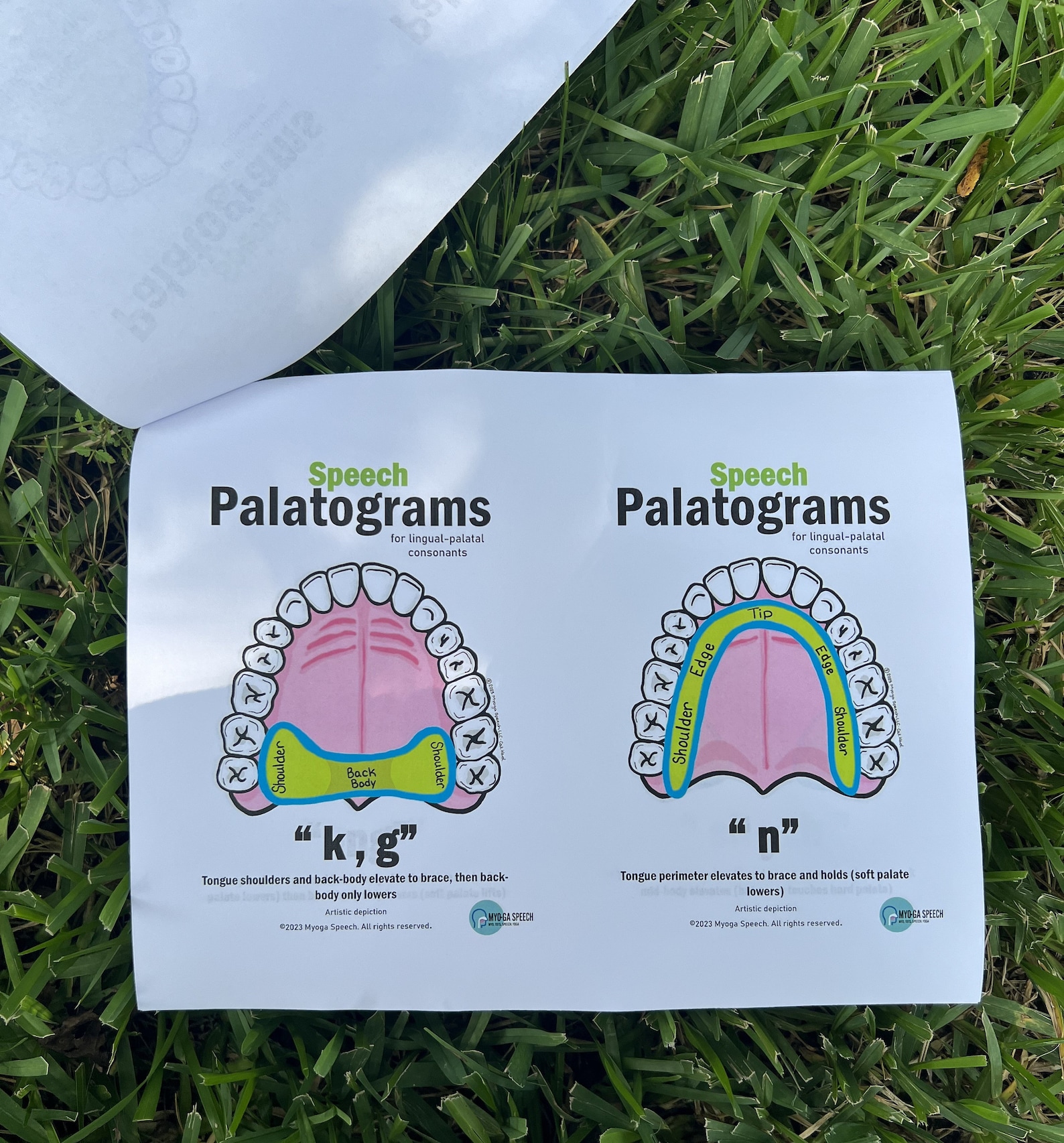 All SOUNDS Palatogram (13 Pages) of Tongue-palatal Consonants CHART ...