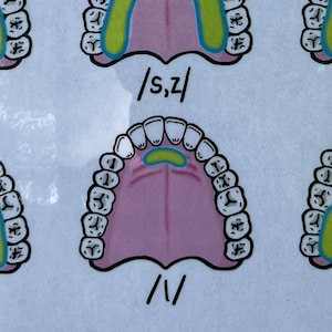 IPA Palatogram (1 Page) of Tongue-palatal Consonants CHART (PDF ...