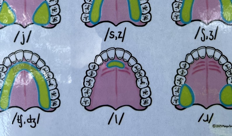 IPA Palatogram (1 Page) of Tongue-palatal Consonants CHART (PDF ...