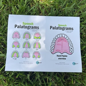 All SOUNDS Palatogram (13 Pages) of Tongue-palatal Consonants CHART ...