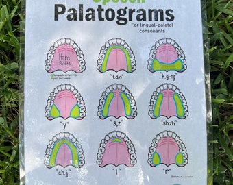 IPA Palatogram (1 Page) of Tongue-palatal Consonants CHART (PDF ...
